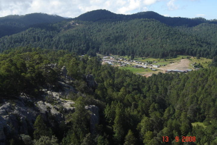 Durango Se Consolida Como La Principal Reserva Forestal