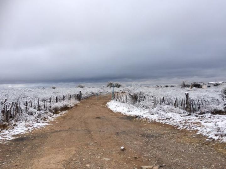 Nieve alcanza a 14 municipios