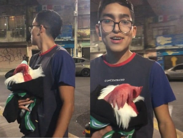 Viral Tras Sismo En La Cdmx Joven Sale De Su Casa Con Gallo En Mano