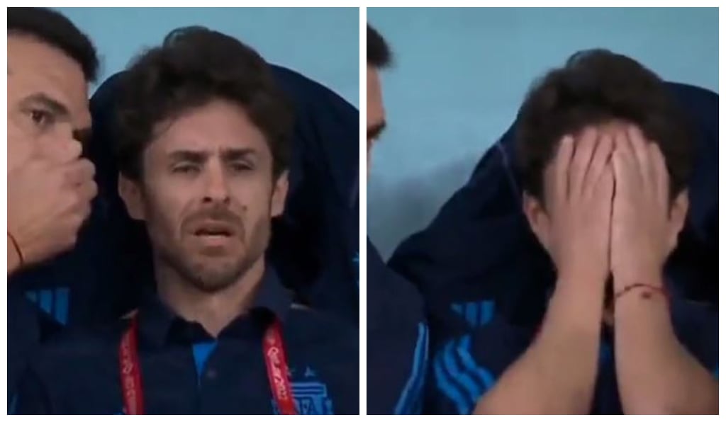 Las lágrimas de Pablo Aimar en el banquillo de Argentina tras el gol de ...