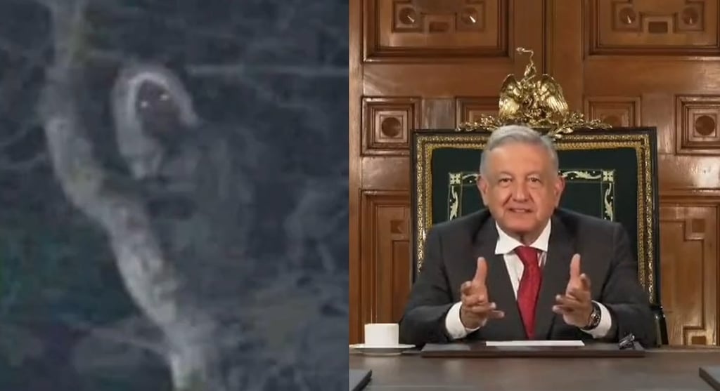 '¿Así son los elfos en México?': se burlan de AMLO y su 'Aluxe' en The ...