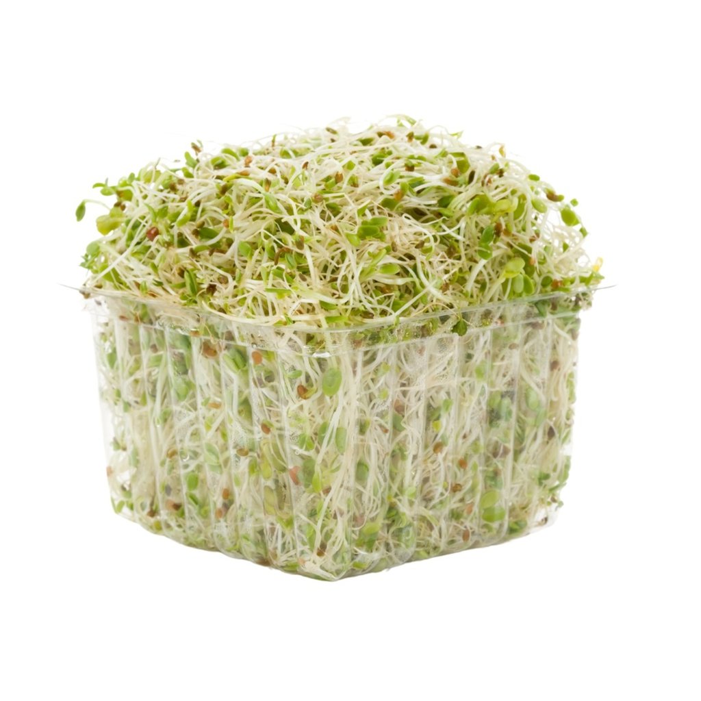 Germinados saludables