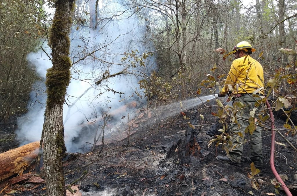 Reportan 31 Incendios Forestales En Durango