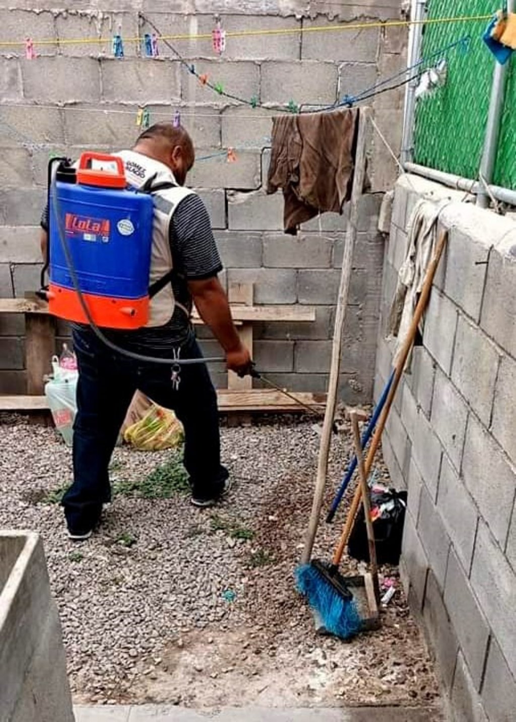 Iniciarán campaña contra garrapatas en Gómez Palacio
