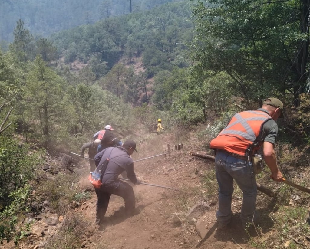 Por Hechos Ilícitos 38 De Incendios Forestales En Durango