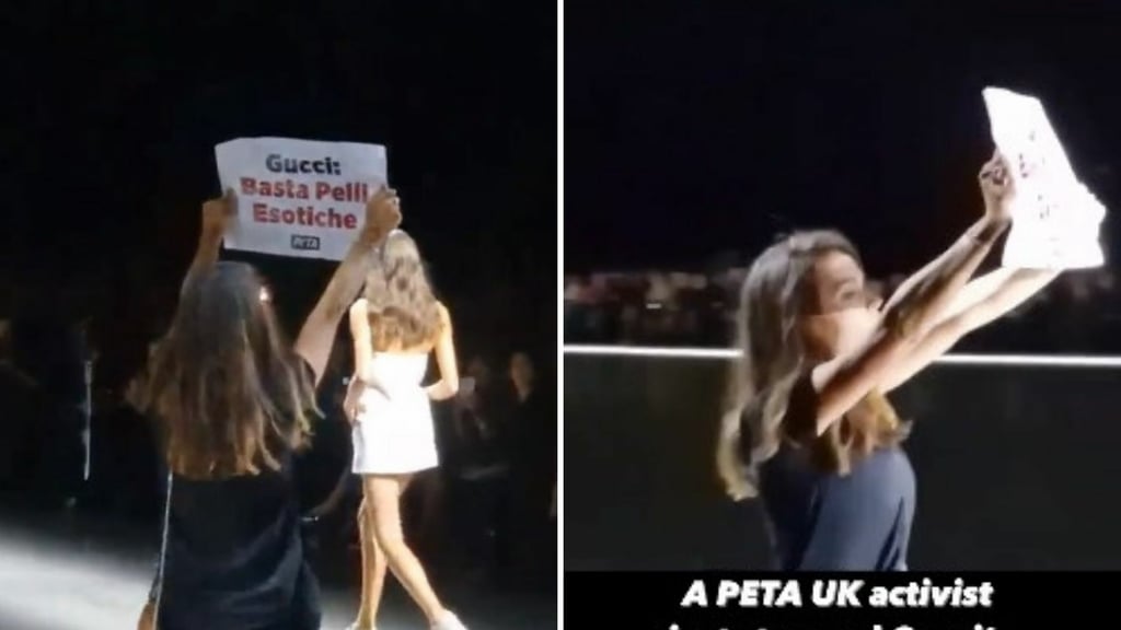 VIRAL: Activista de PETA irrumpe en el desfile de Gucci en la Semana de ...