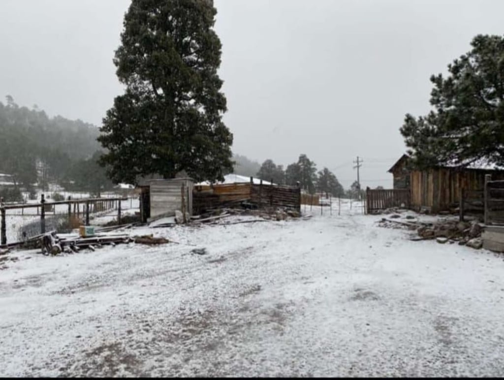 Se registra la primera nevada del año en Durango