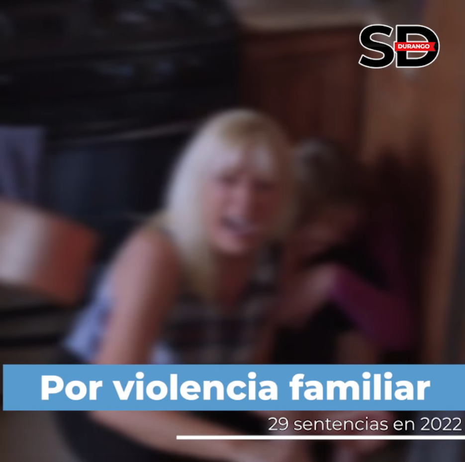 Por violencia familiar, 29 sentencias en 2022