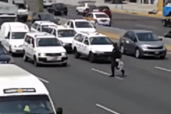 Policía detiene el tráfico para salvar a un perrito