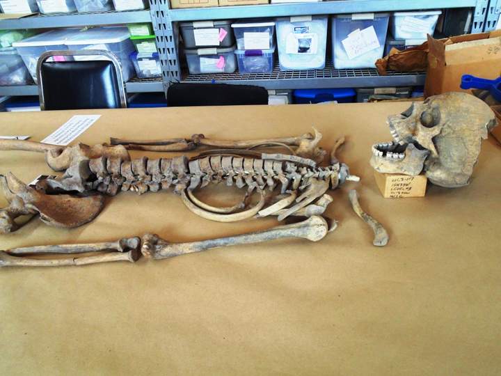 Descubren restos óseos en zona arqueológica de Durango