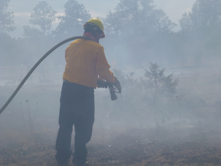Incendios dañan 23.5 hectáreas