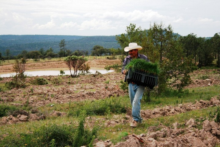 Más recursos a la Cuenca del Río Nazas