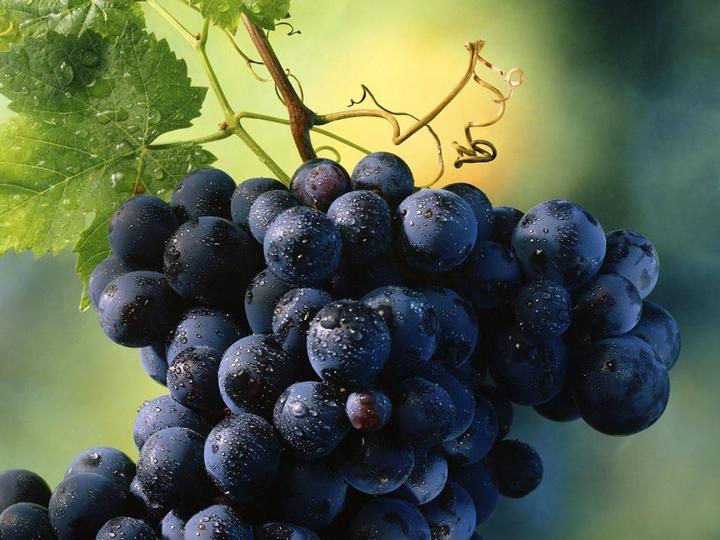 Uva, buena para hidratarte