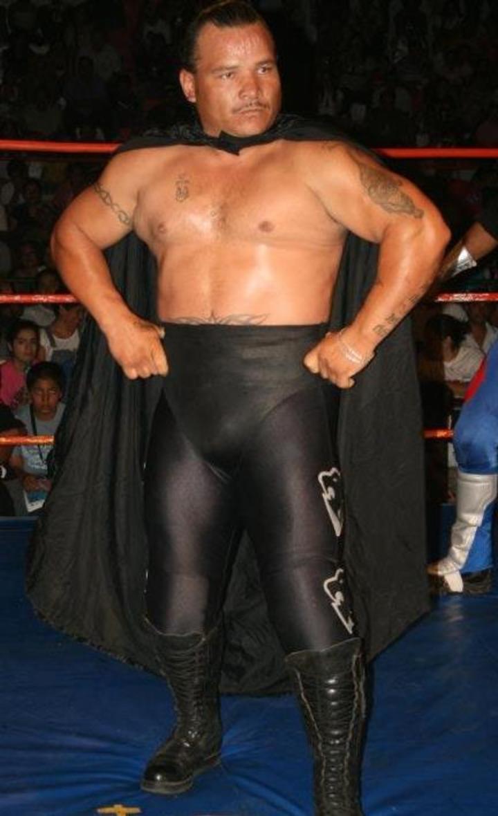 Pantera regresa a casa