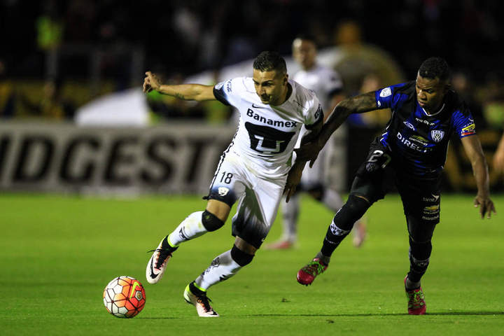 Pumas vive en Ecuador