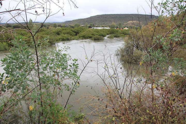 Localidades en riesgo por lirio acuático del Río Tunal