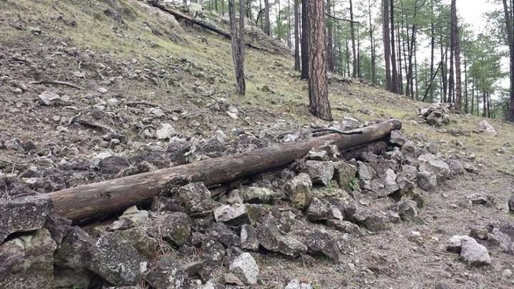 Sigue luciendo el parque de El Tecuán