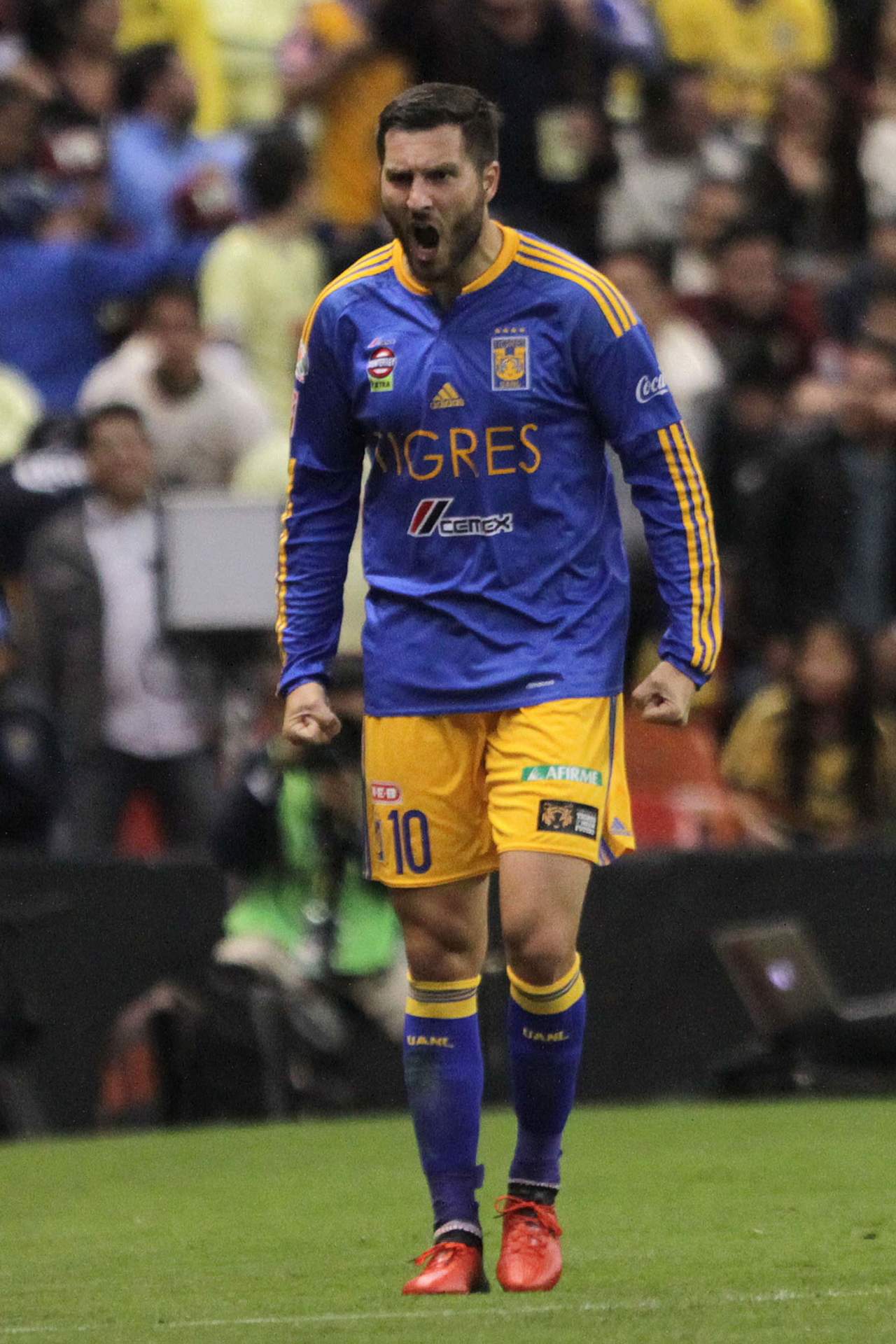 Gignac, ¡a la cancha!