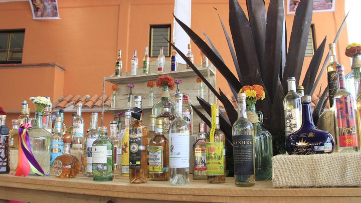 Que el mezcal de Durango llegue a China
