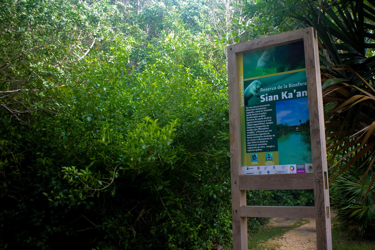Clausuran actividades en reserva de la biósfera de Tulum