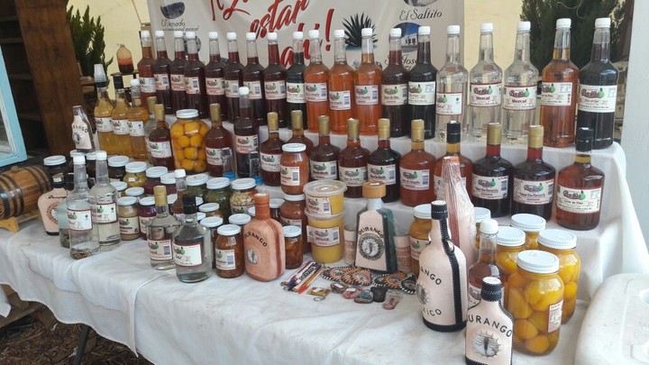 Preparan festival del mezcal en Durango