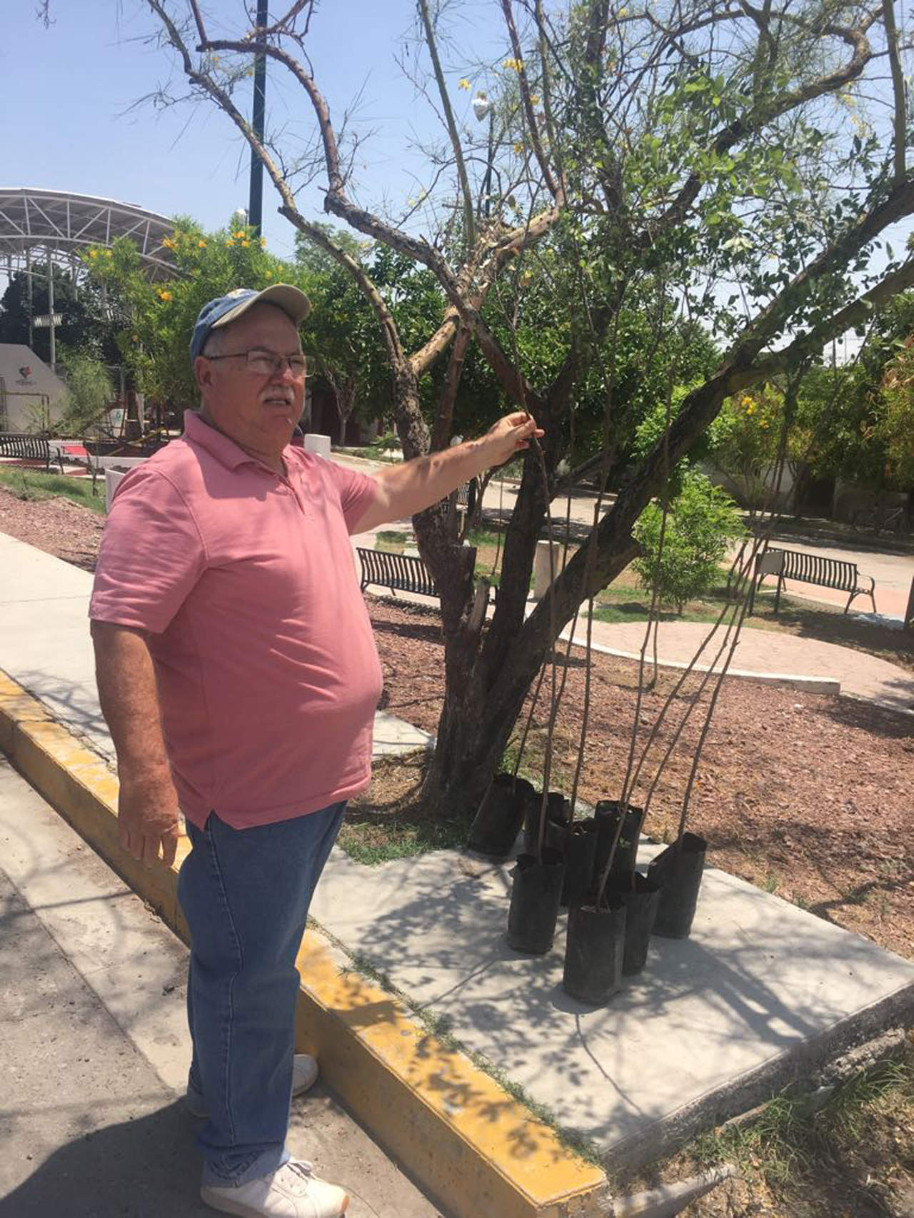 Reforestarán placita de la Roberto Fierro