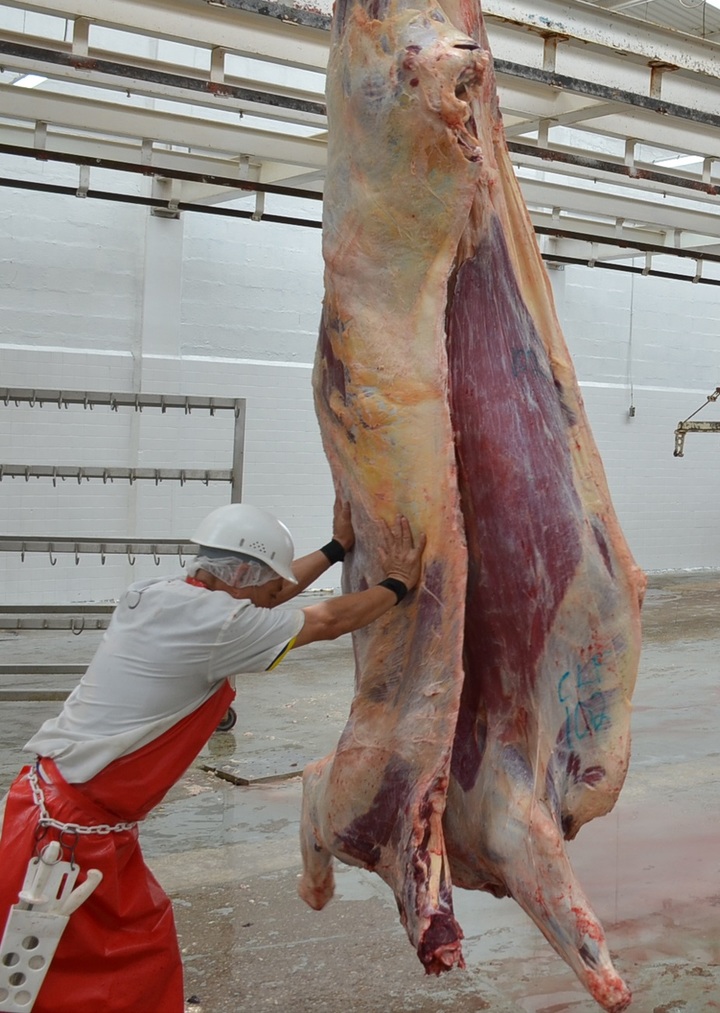 Cuenta Durango con 5 rastros TIF