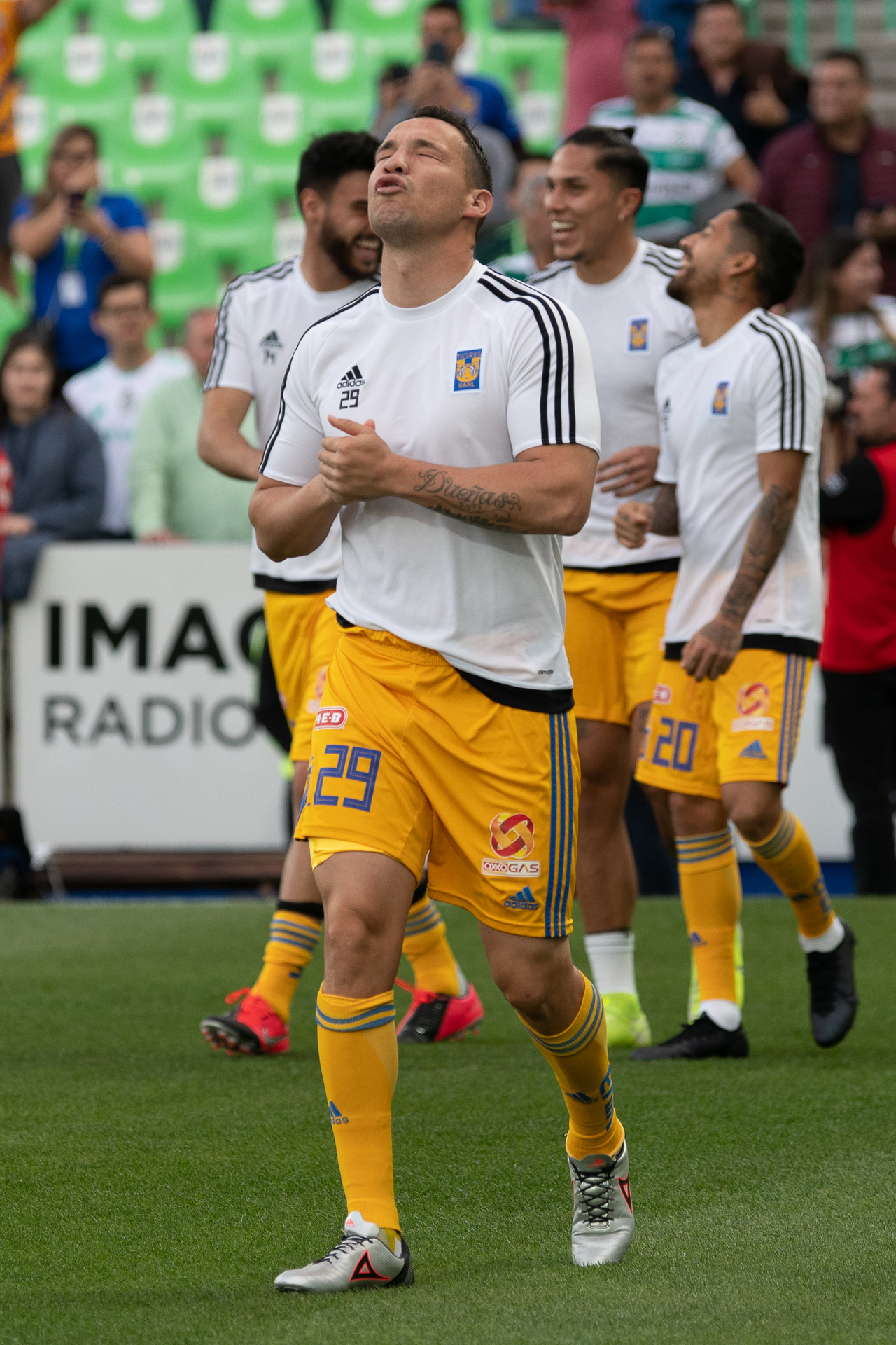 Tigres tiene respaldo por 30 años más
