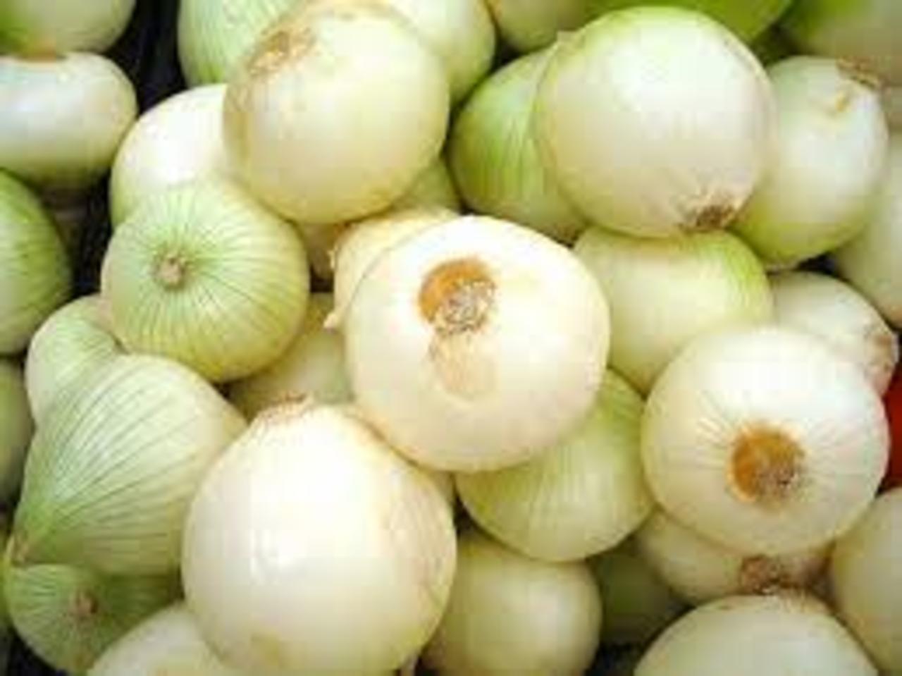 Estados Unidos vincula brote de salmonelosis a cebollas mexicanas