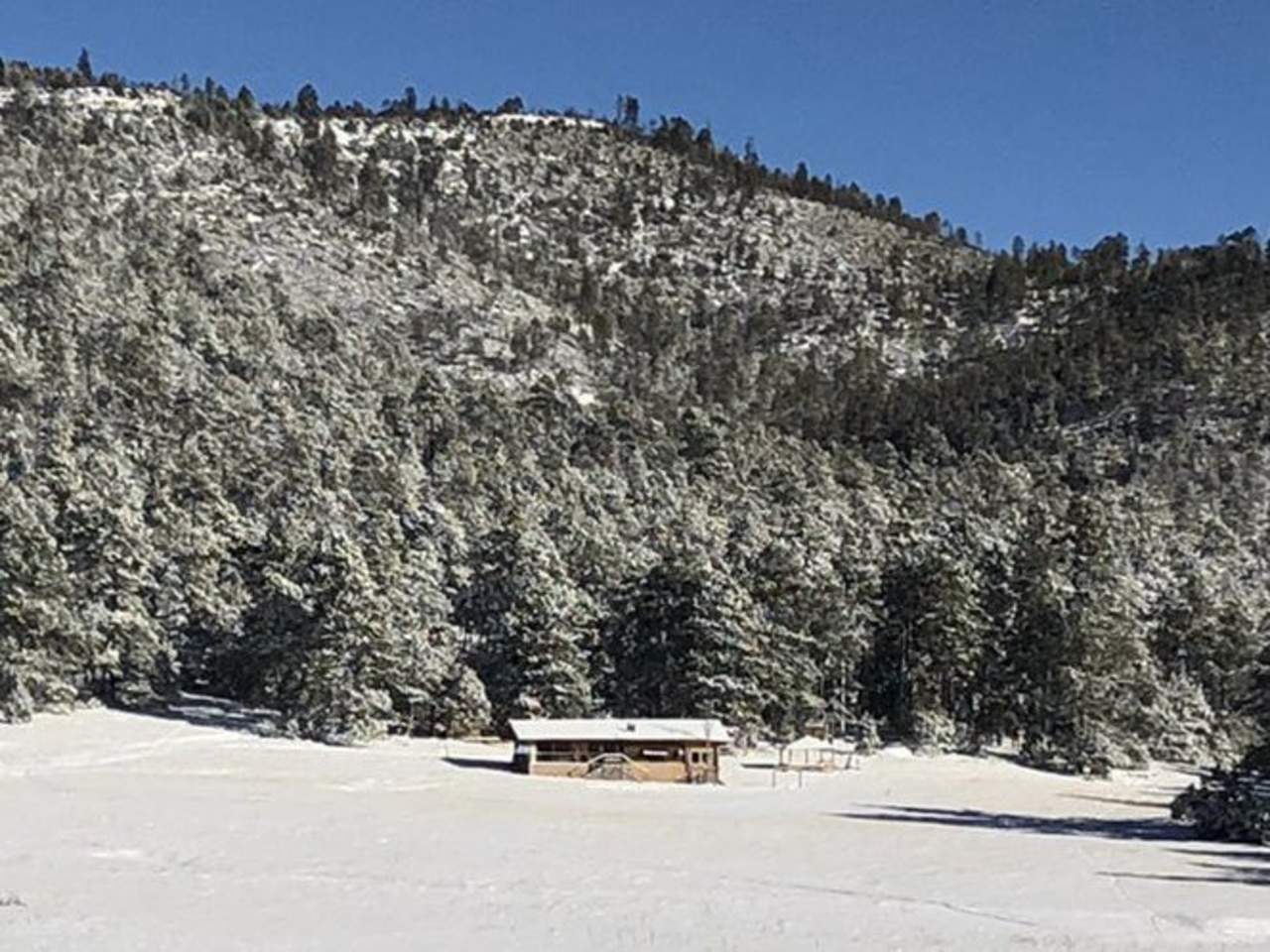 Ya son 11 municipios de Durango con caída de nieve