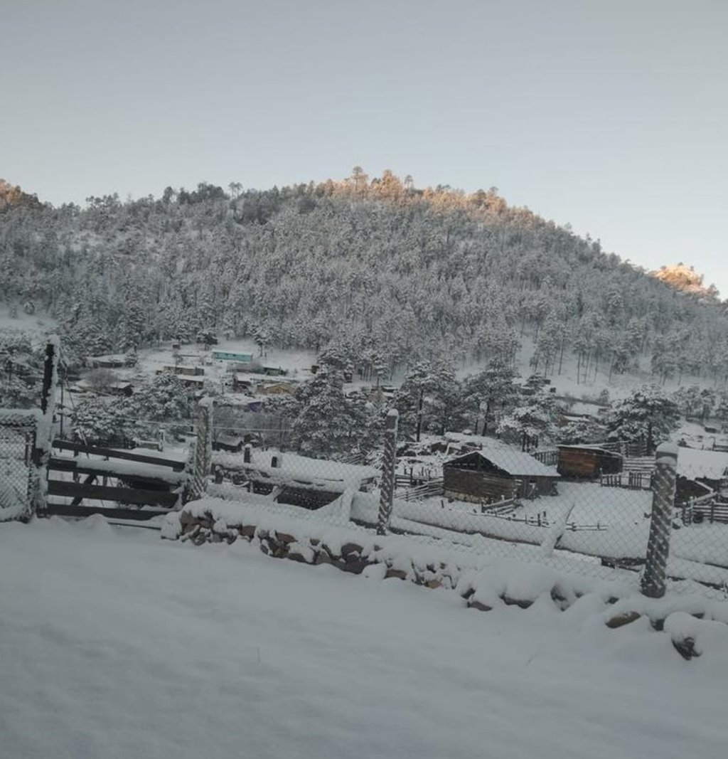 Caída de nieve afecta 94 localidades en Durango; La Rosilla alcanzó -15 ...