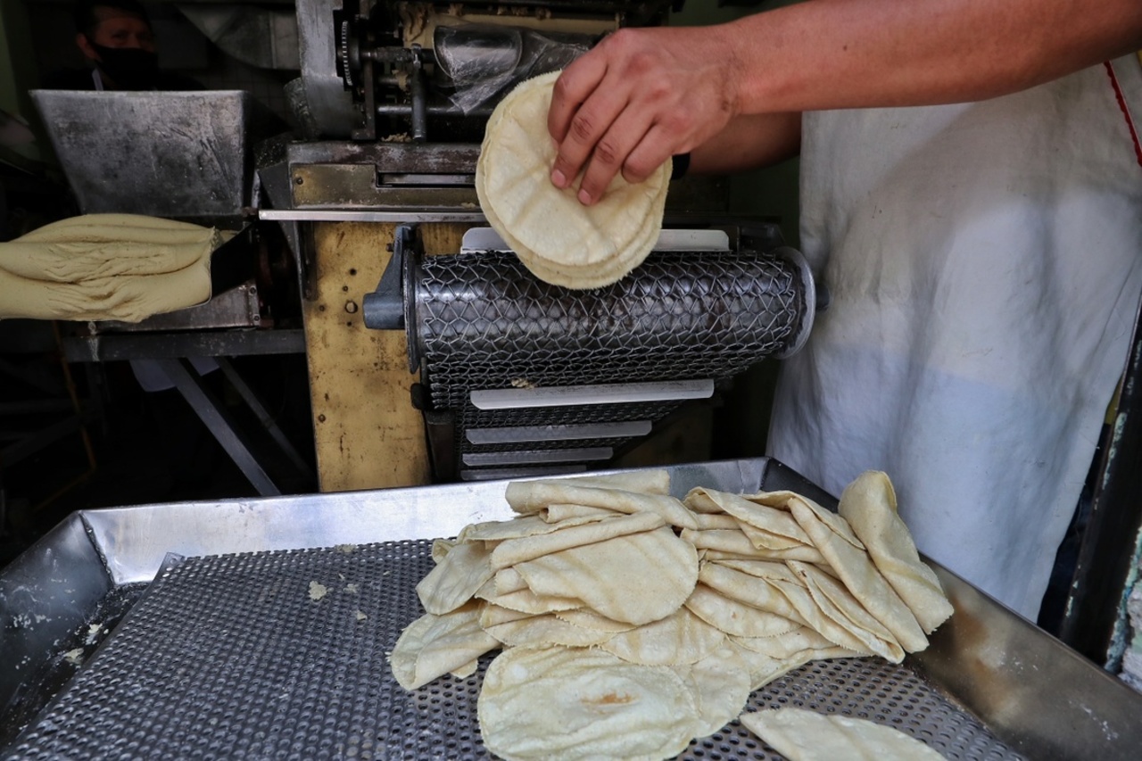 Producir más biogás a partir del olote, el reto