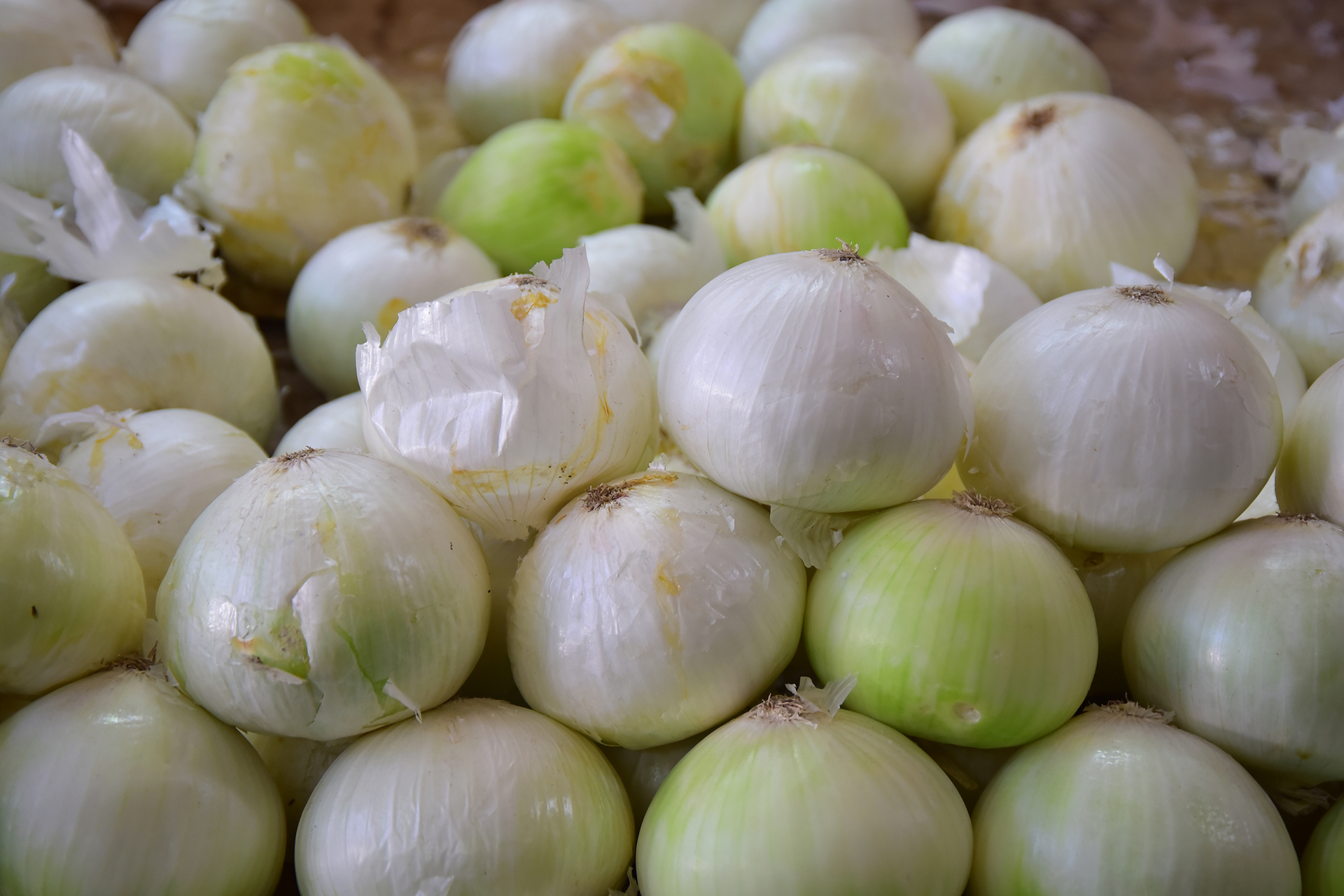 Reportan venta de cebolla hasta por 60 pesos el kilo en supermercados