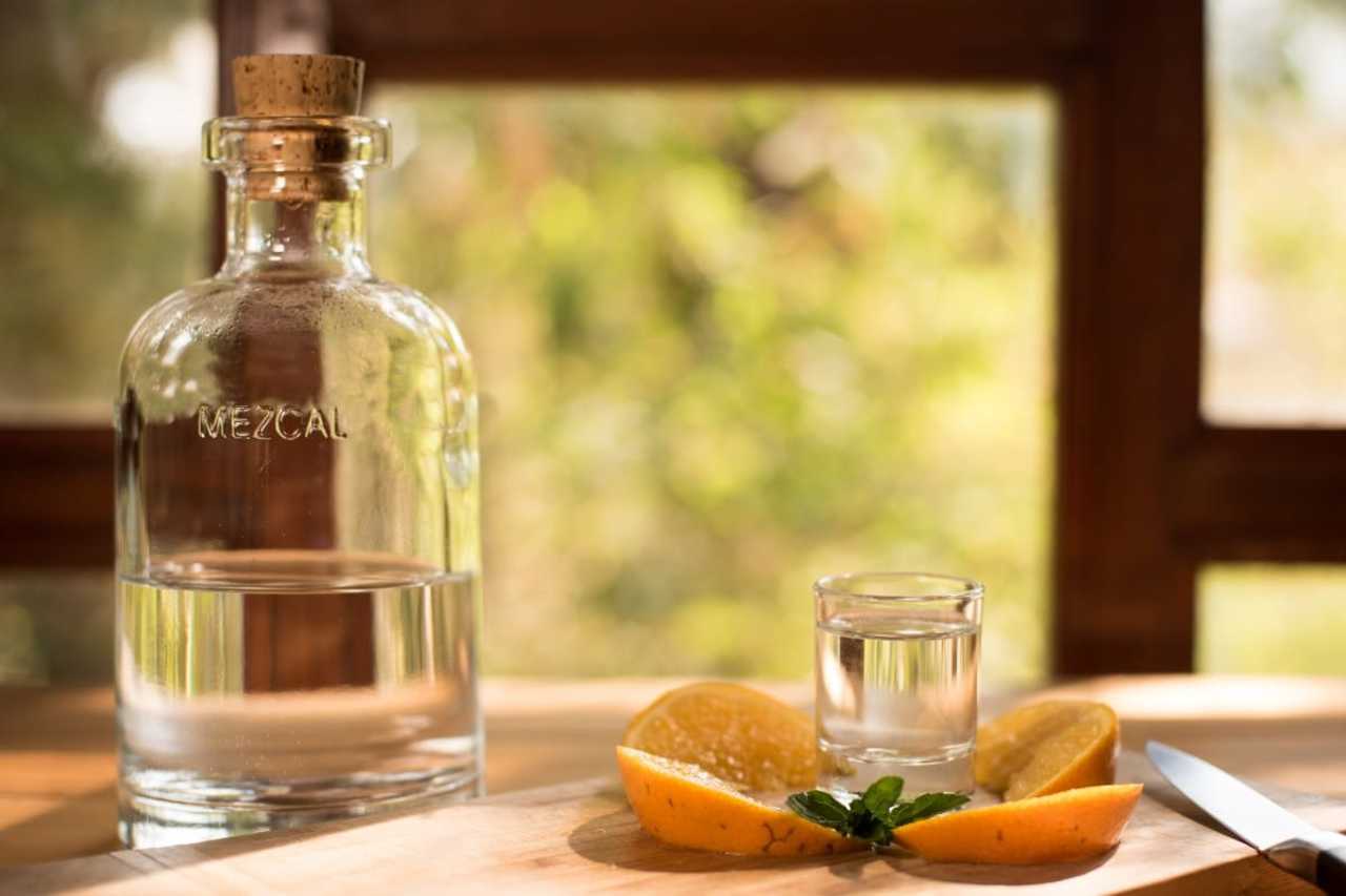 Tres mezcales potosinos para dar el Grito