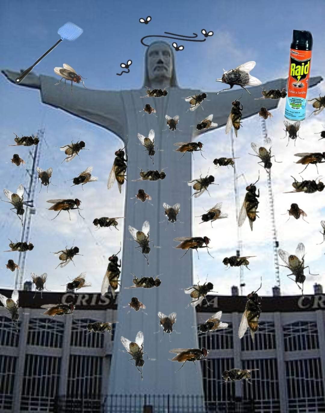 '¡Están en todos lados!': Invasión de moscas en La Laguna genera memes