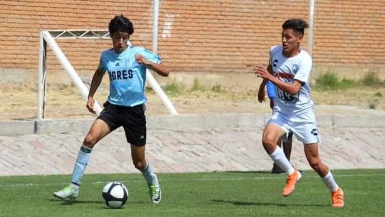 9 Tigres asisten a visorías en Mazatlán