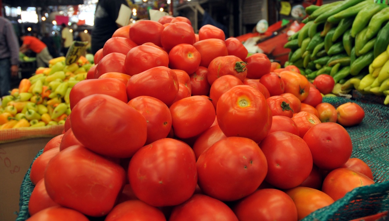 Hasta en 40 pesos, kilogramo de tomate en Durango