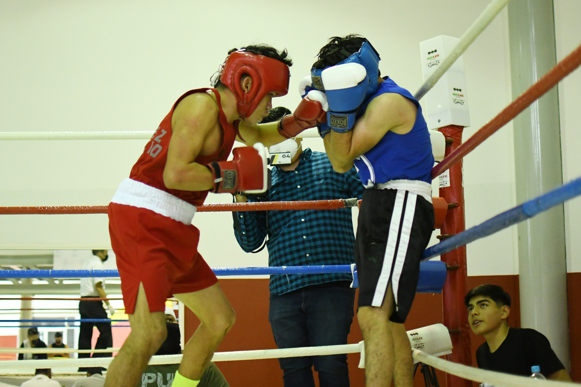 Cuenta regresiva para Torneo de Boxeo José 'Olivaritos' Morales en Tijuana