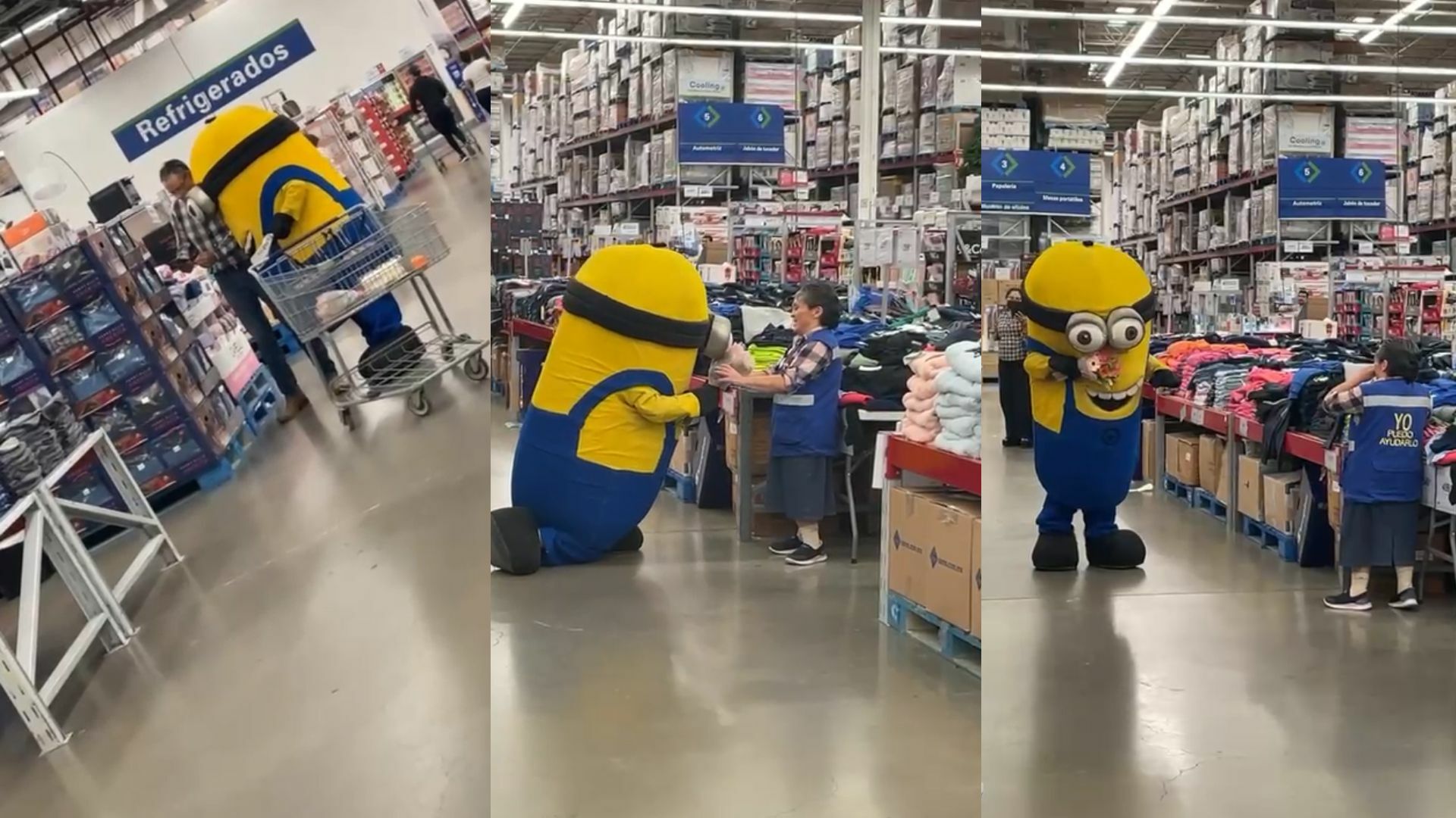 Botarga de 'Minion' protagoniza tierna sorpresa en tienda departamental ...