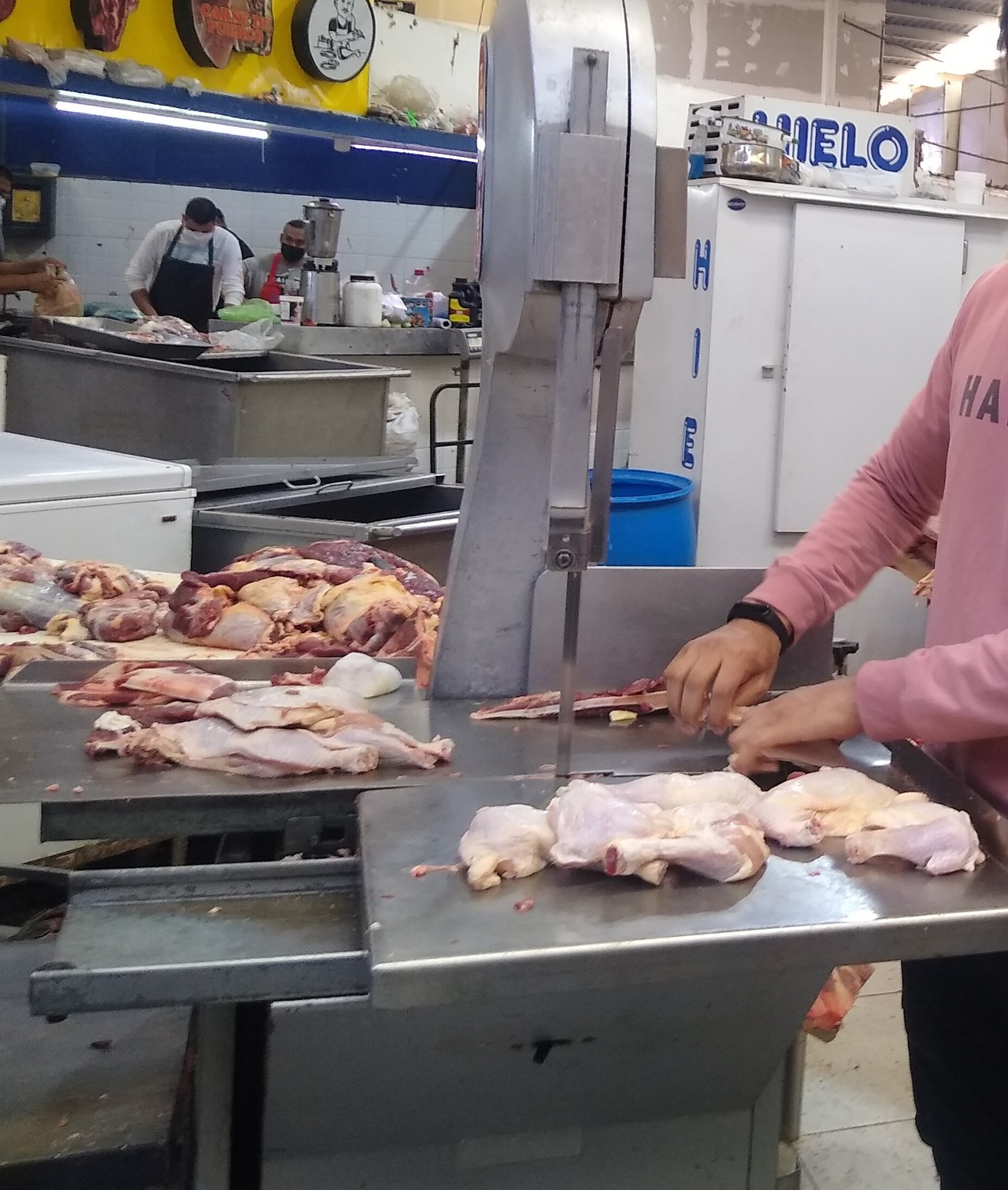 Produce Durango 235 mil toneladas de pollo en 10 meses