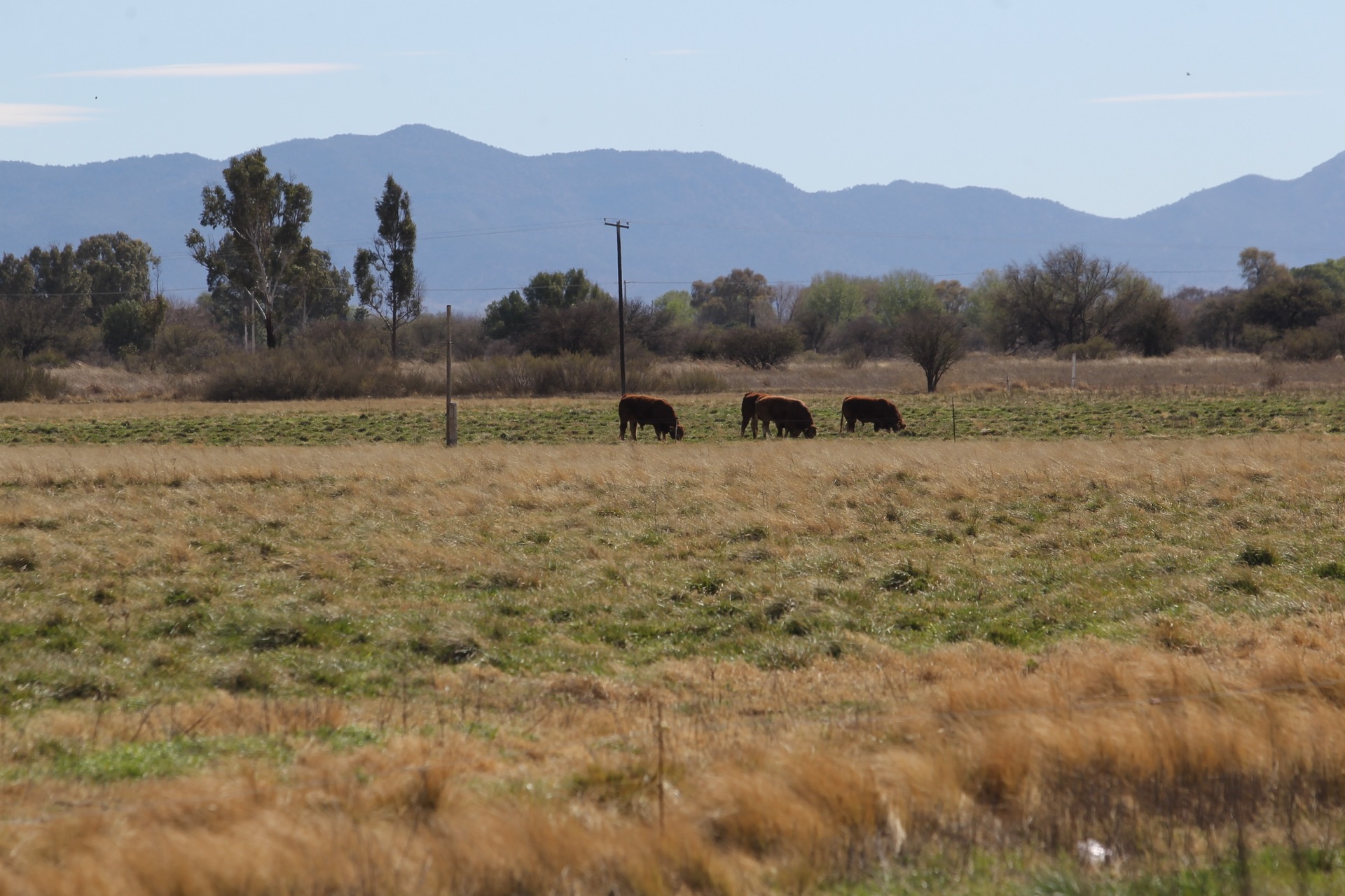 Los 19 mdp presumiblemente desviados, estaban en Finanzas: Joel Corral