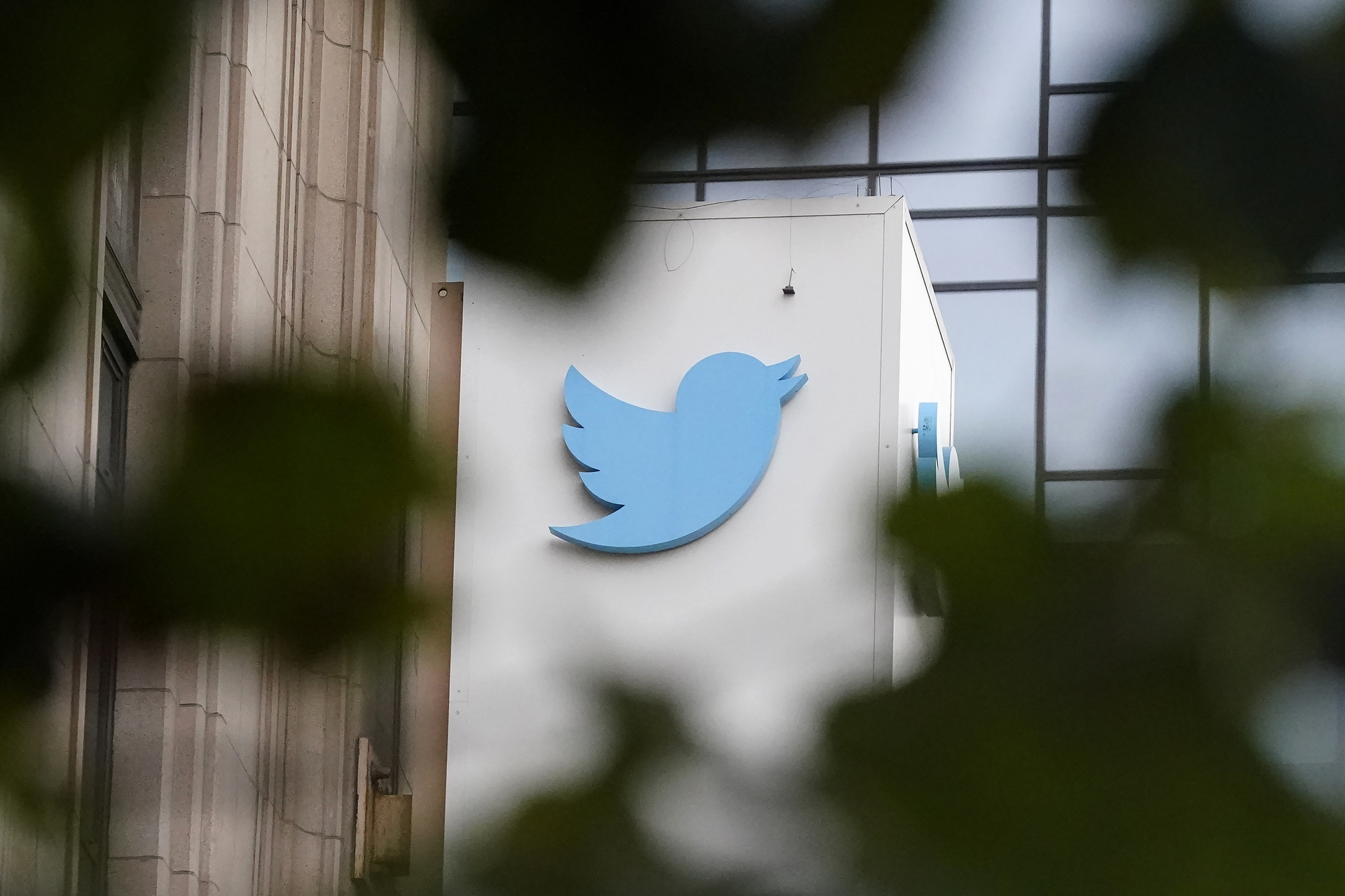 Twitter vende por 100 mil dólares su icónica estatua de el pajarito ...