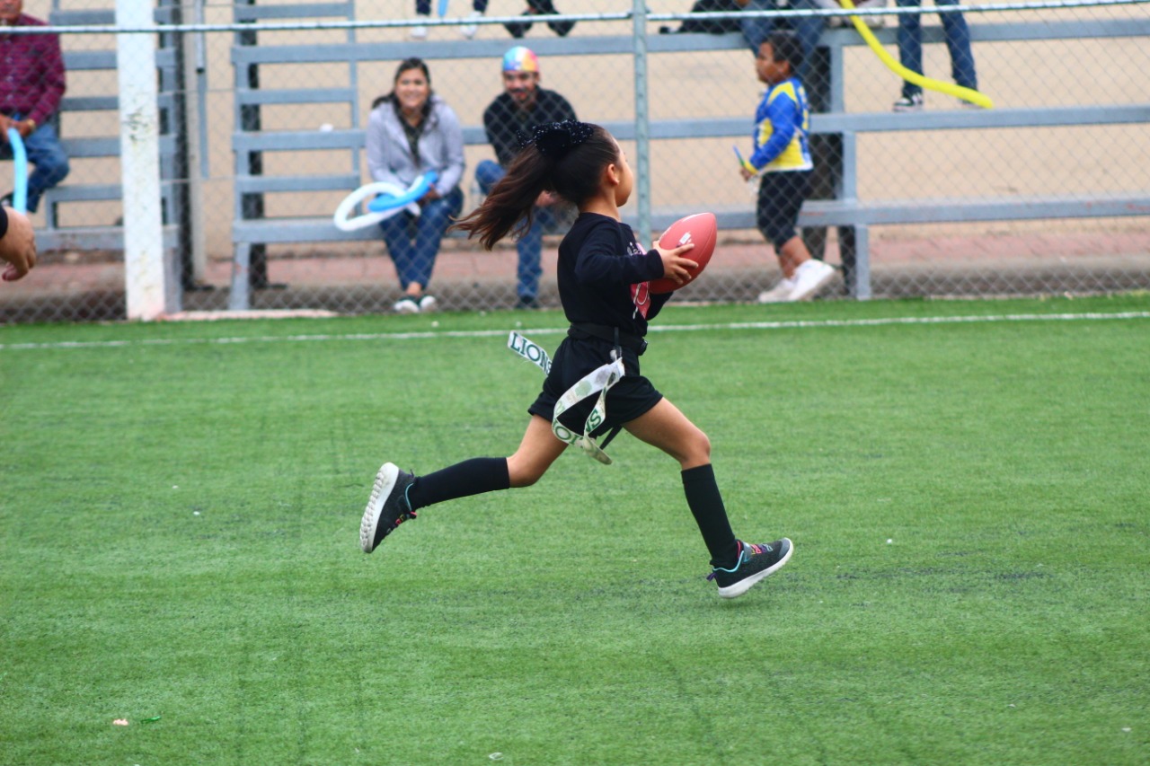 Preparan torneo primaveral de Tochito Bandera en Torreón