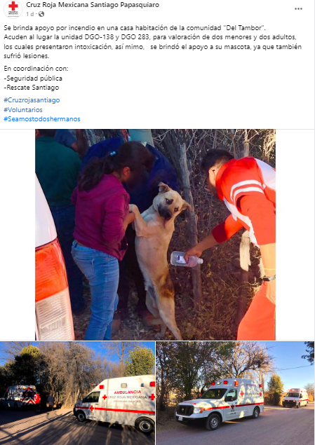 Perrito lesionado en incendio es atendido por Cruz Roja de Santiago ...