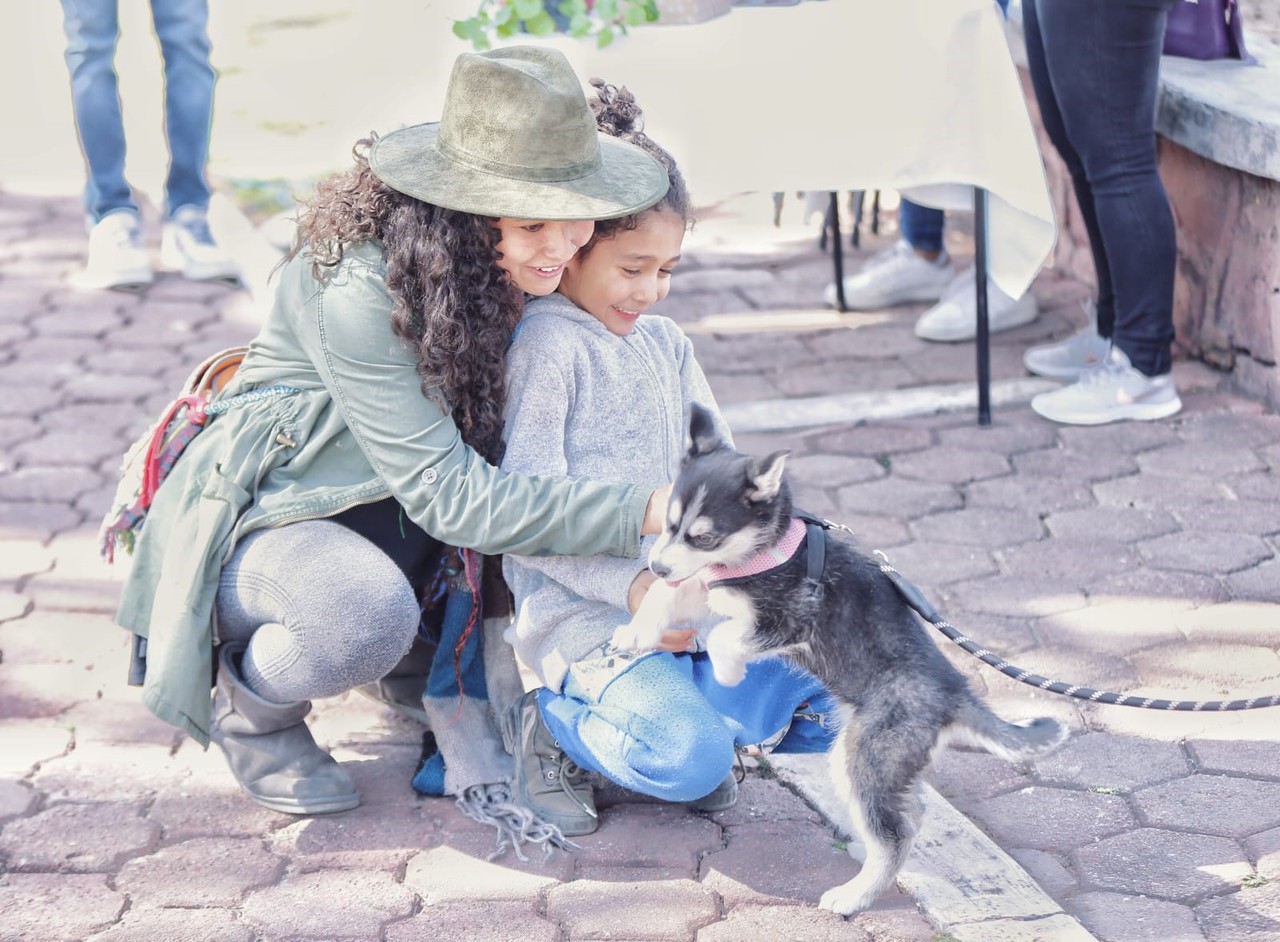 Llega 'Amor con Patas' al Parque Perrón