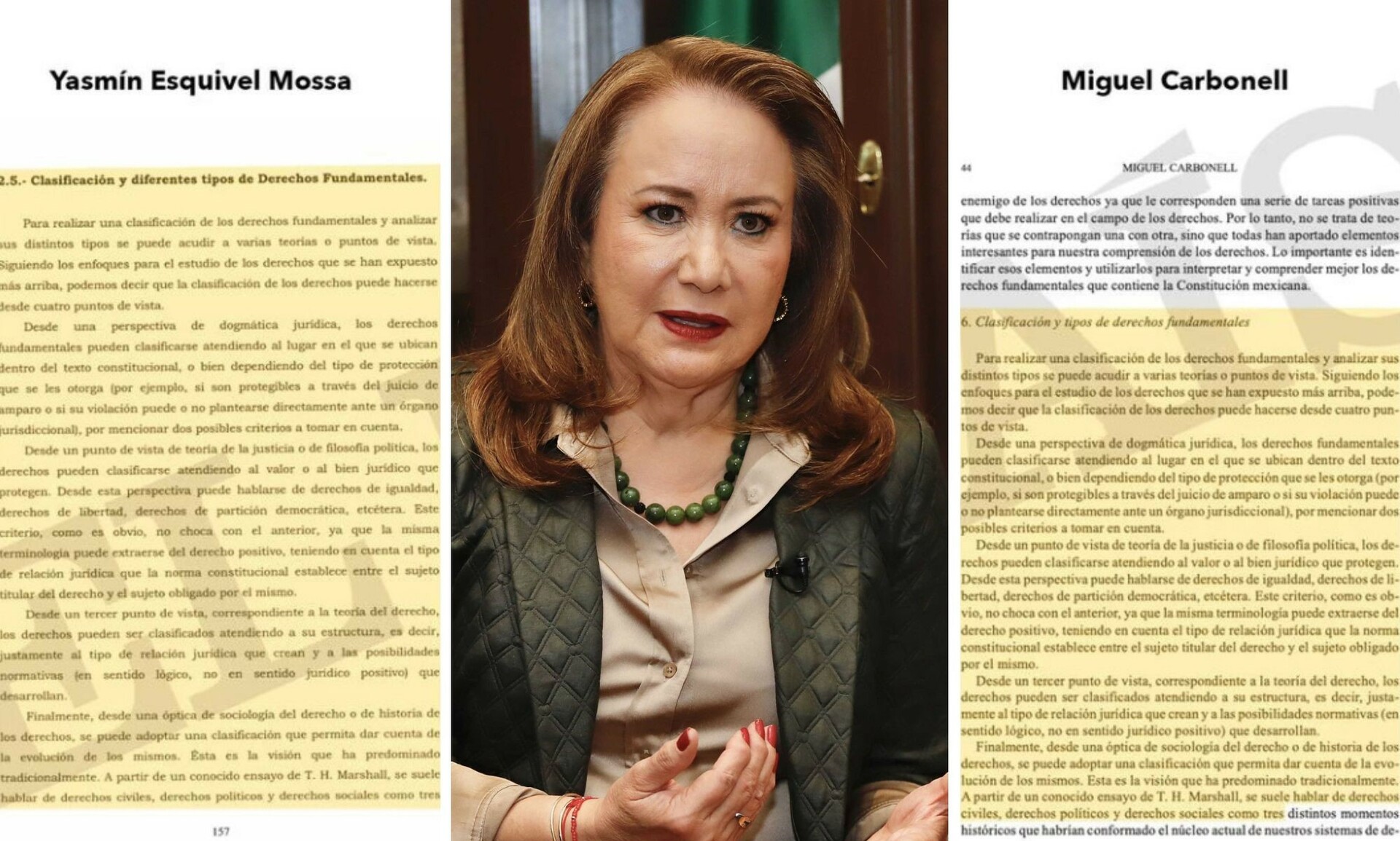 Nueva acusación contra Yasmín Esquivel; reportan plagio en su tesis ...