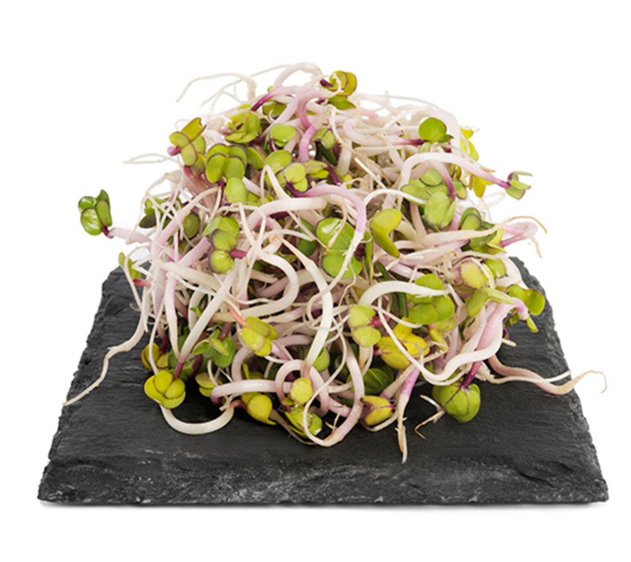 Germinados saludables
