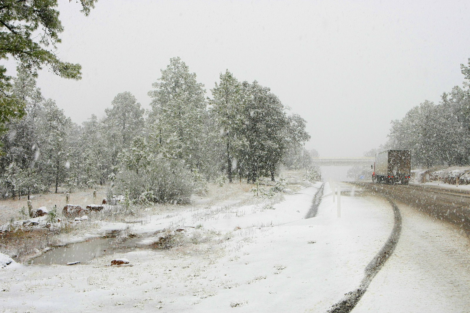 FOTOS: Hace 8 años, la sierra de Durango se cubrió de nieve