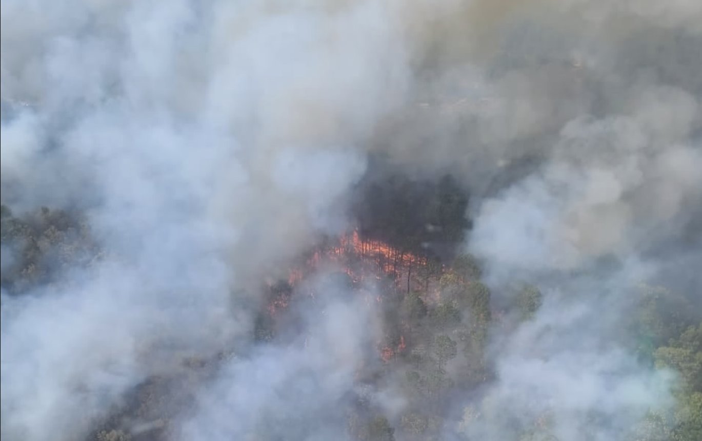 Durango Entre Los 10 Estados Con Más Incendios Forestales