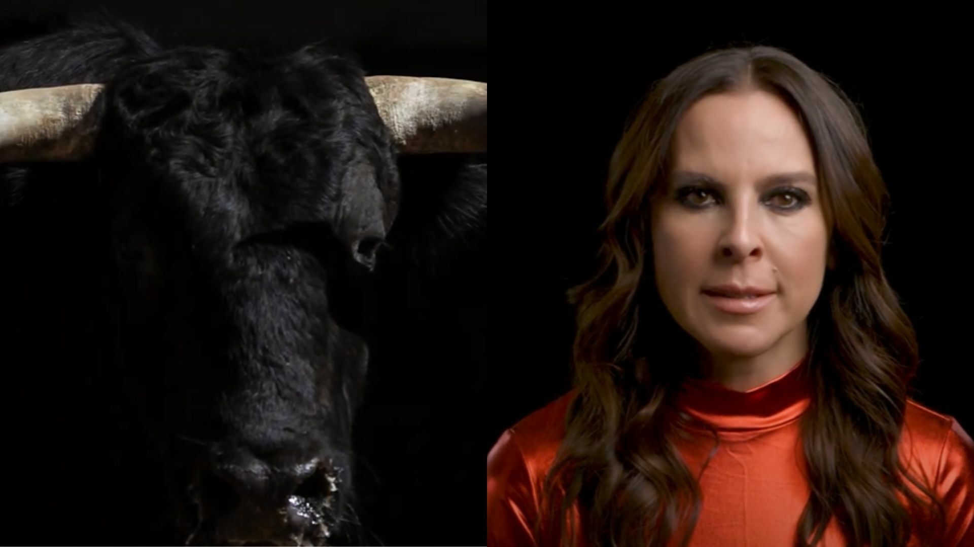 'Hombres a caballo me acribillaron', Kate del Castillo se mete en la ...